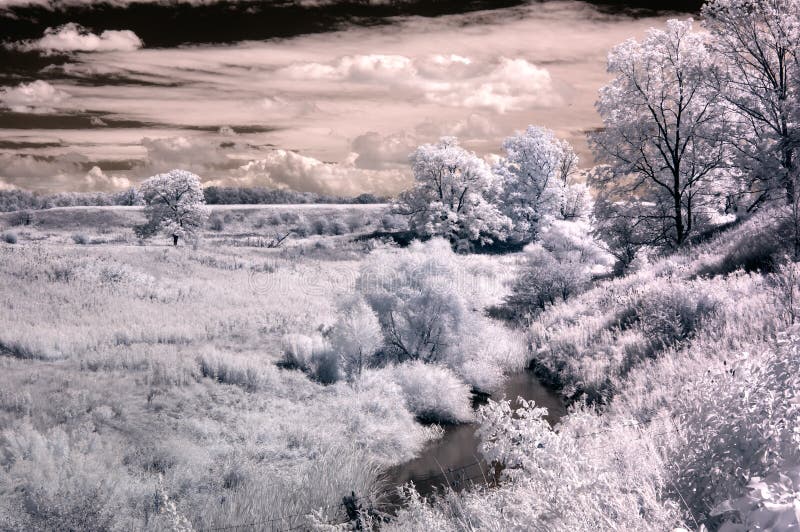 Fall frost stock image. Image of bancroft, field, nature - 17359661