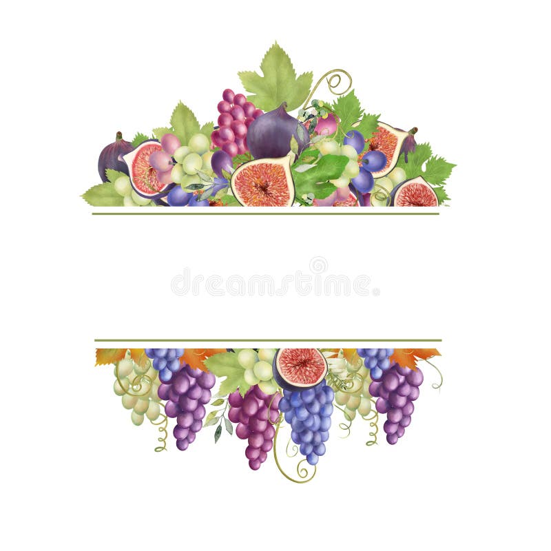 Fig Border Stock Illustrations – 528 Fig Border Stock Illustrations ...
