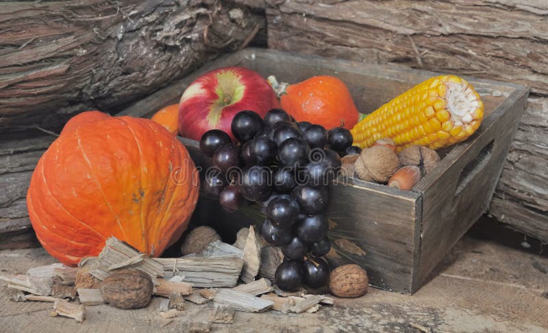 Fall fruits and vegetables stock photo. Image of nuts - 33414728