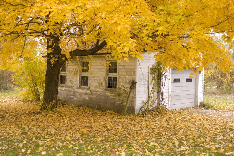 Fall Garage Scene stock image. Image of garage, seasons - 11559969