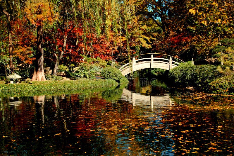 Fall Garden Foliage and Color Stock Image - Image of vista, view: 3560327