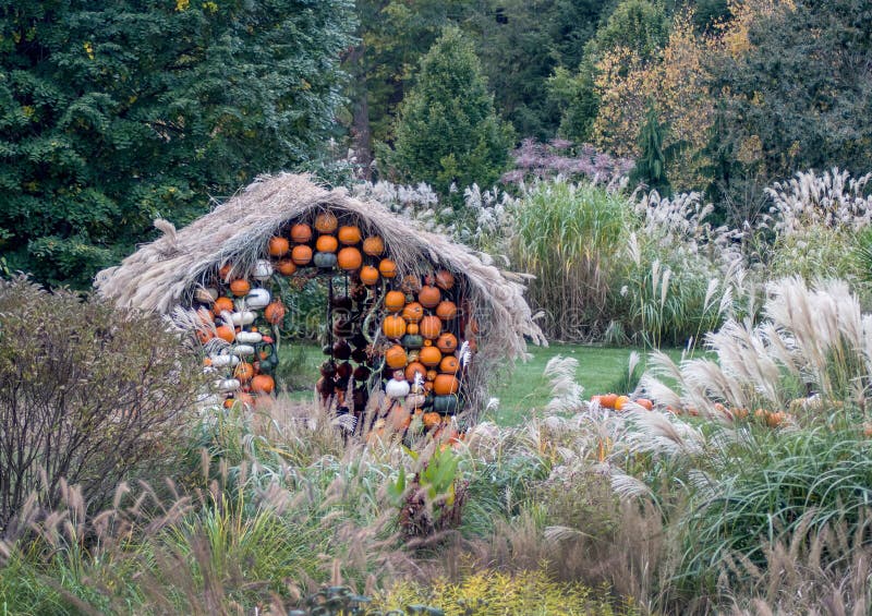 Fall Garden with a House of Pumpkins Stock Photo - Image of fresh ...