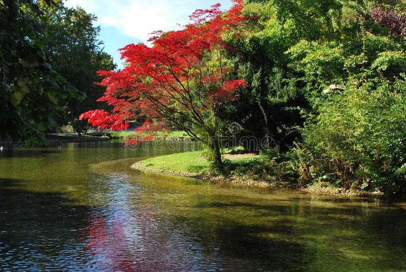 Fall in Germany, Munich stock image. Image of threes - 61867041