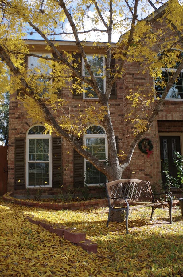 Fall gold leaves at house stock image. Image of neighbourhood - 350577053