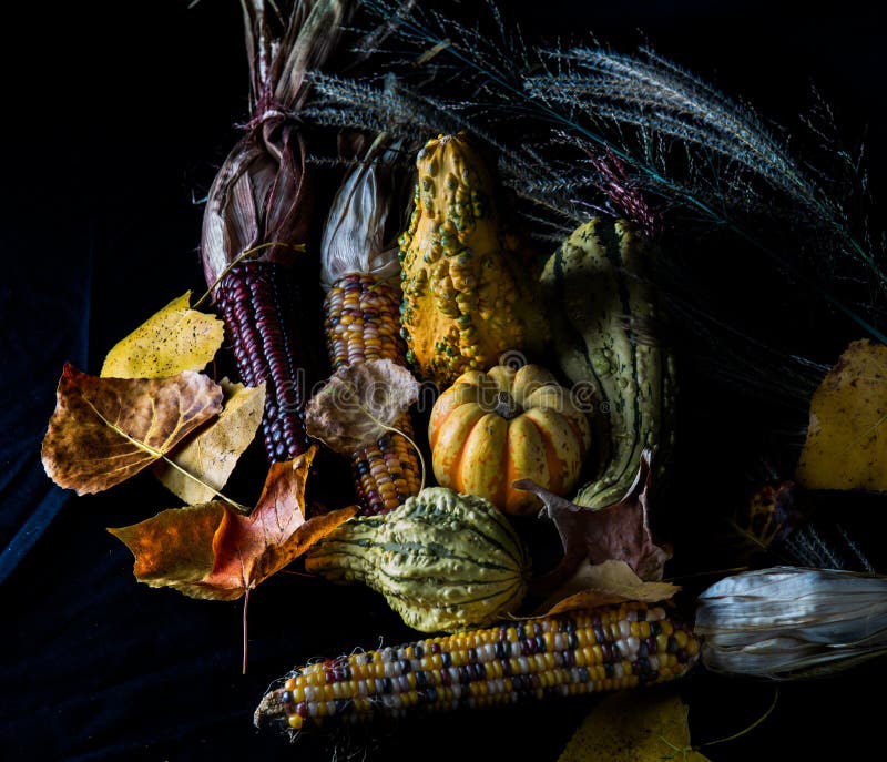 Fall Gourds and Corn stock image. Image of fall, seasonal - 101424385