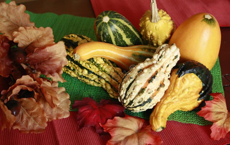 Fall Gourds and Leaves stock photo. Image of assortment - 16094782