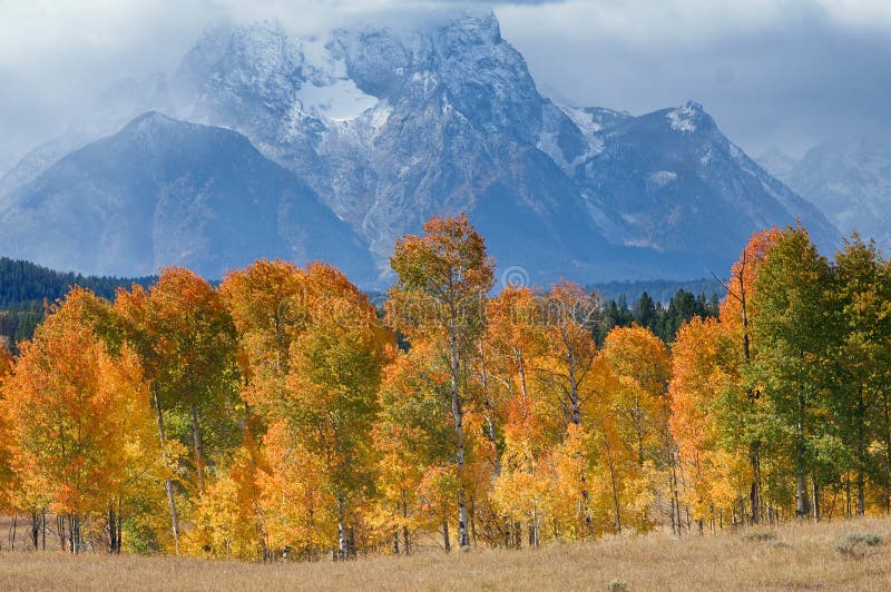 Fall at Grand Tetons stock photo. Image of oxbow, daytime - 14887980