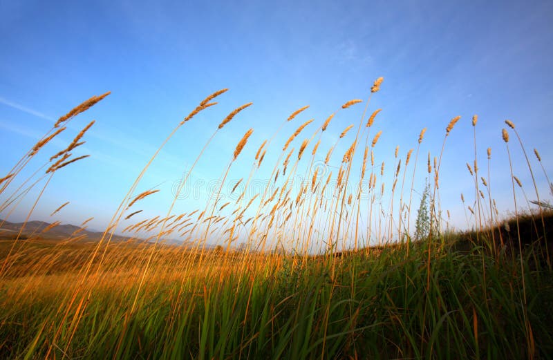 Fall grass stock image. Image of clouds, mountain, season - 6487533