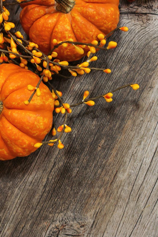 Fall Halloween Autumn Pumpkin Background Stock Image - Image of morning ...