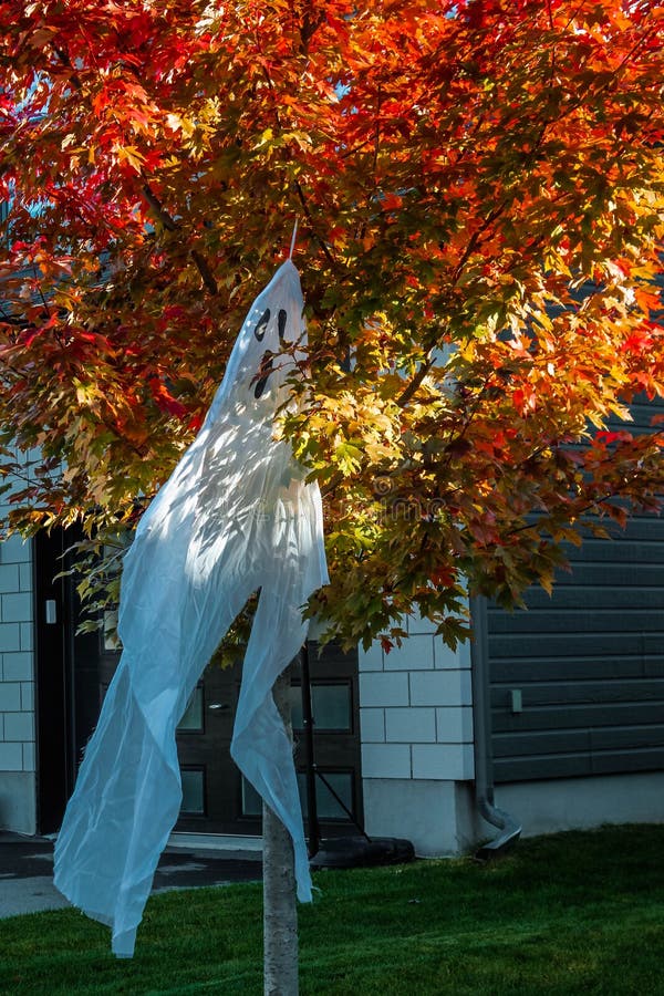 Fall Halloween Ghost in Tree Surrounded by Fall Leaves. Halloween ...