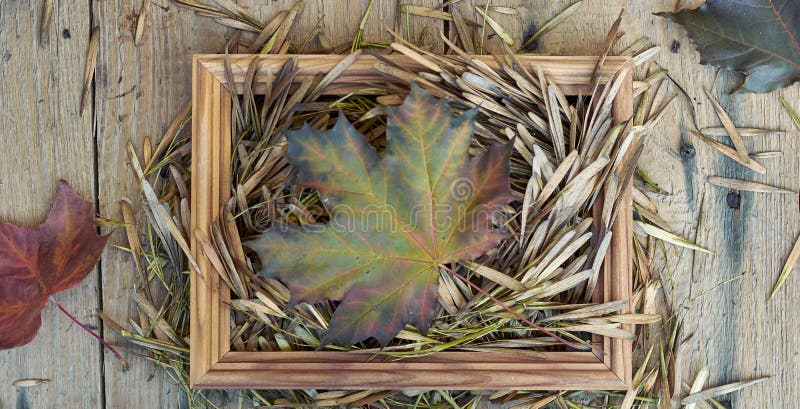 Fall Handmade Craft: Frame with Dry Maple Leaves and Seeds Stock Photo ...