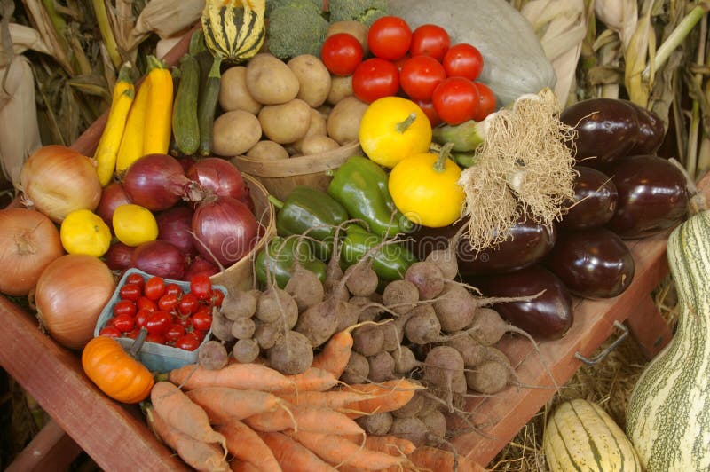 Fall Harvest stock photo. Image of squash, pumpkin, purple - 11272146