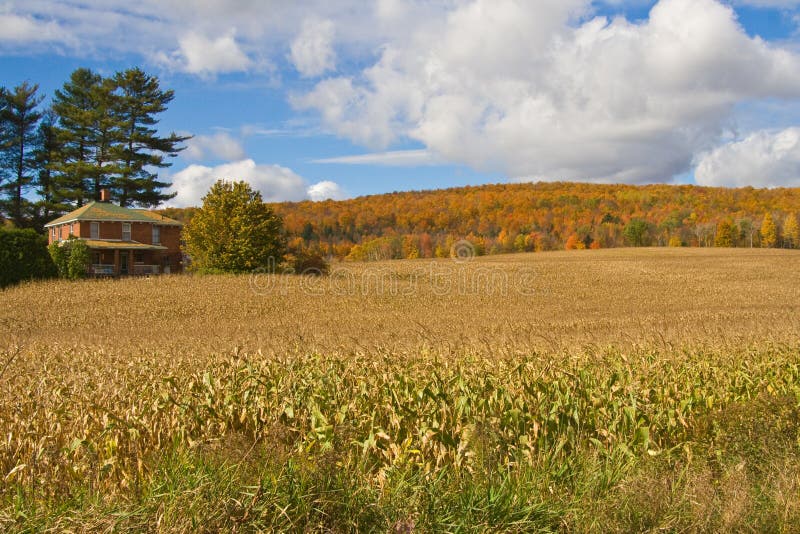 Fall harvest stock image. Image of seasonal, cottage - 12326841