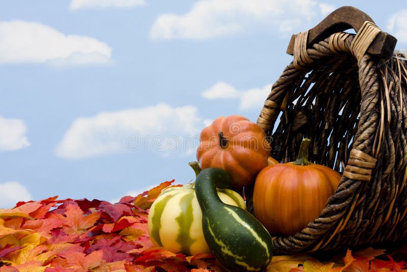 Fall Harvest Border stock image. Image of frame, copy - 6662339