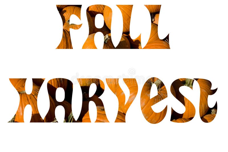 Fall Harvest Picture. Image: 6873509