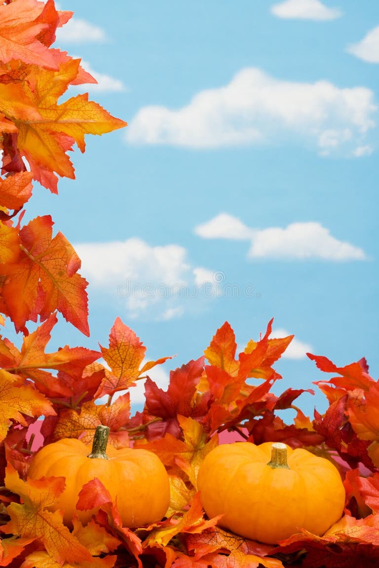 41,198 Harvest Border Stock Photos - Free & Royalty-Free Stock Photos ...