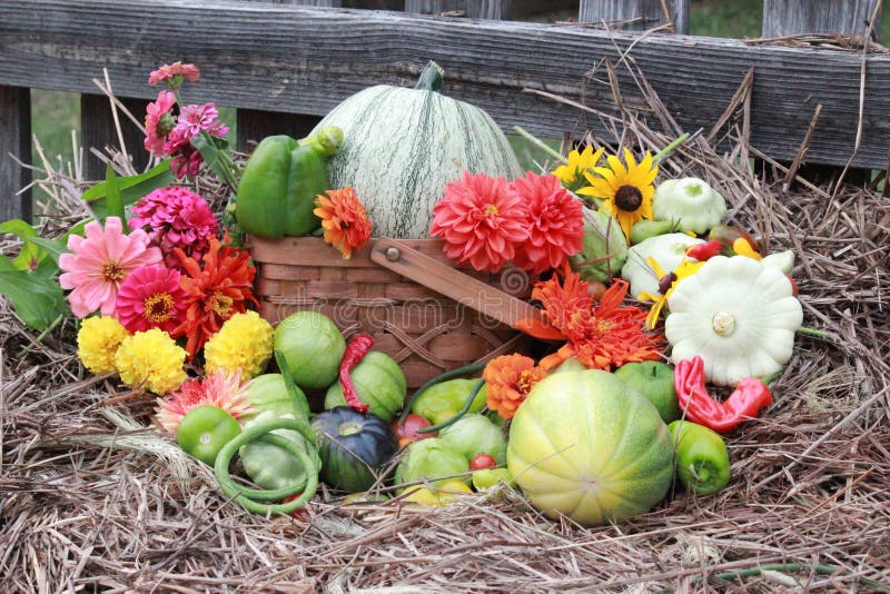 Fall Harvest with Bright Flowers Stock Photo - Image of flower ...