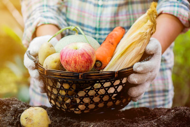 Fall harvest cornucopia. stock image. Image of countryside - 123944479