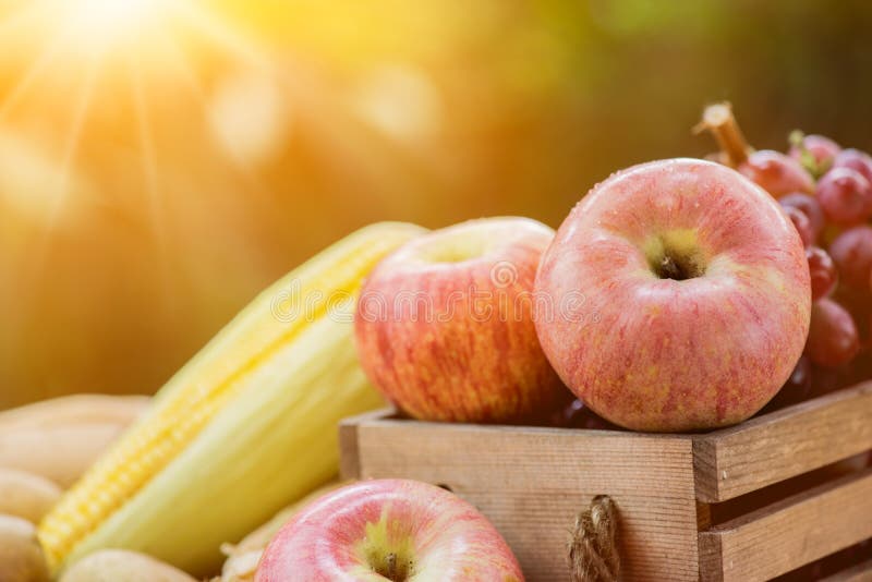 Fall Harvest Cornucopia and Thanksgiving Day Stock Photo - Image of ...