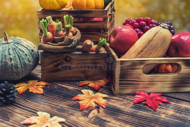Fall Harvest Cornucopia. Autumn Season with Fruit and Vegetable Stock ...