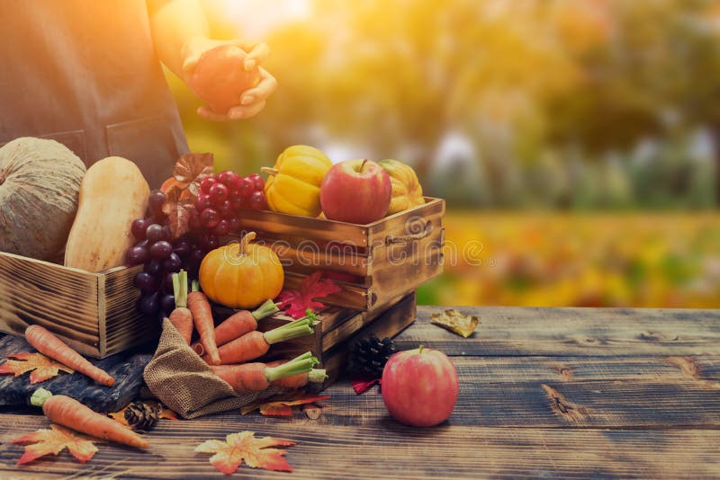 Fall Harvest Cornucopia. Autumn Season with Fruit and Vegetable. Stock ...