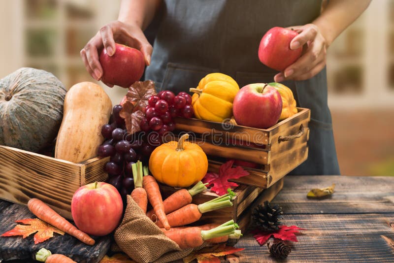 Fall Harvest Cornucopia. Autumn Season with Fruit and Vegetable Stock ...