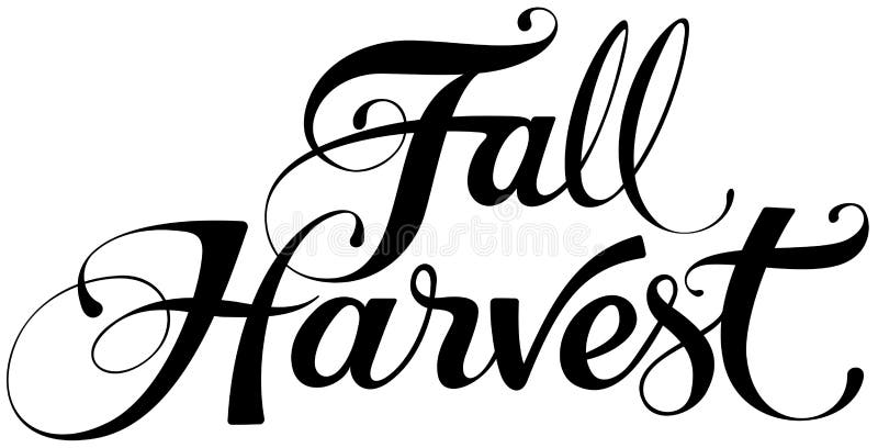Fall Harvest - Custom Calligraphy Text Stock Vector - Illustration of ...