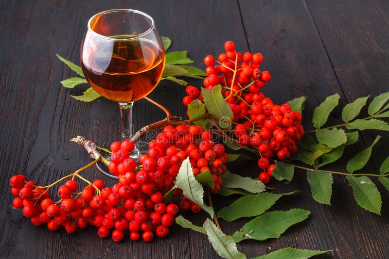 Fall Harvest, Made Alcohol from Berries Stock Photo - Image of food ...