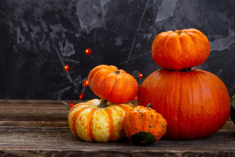 Fall harvest of pumpkins stock image. Image of leaf - 128155331