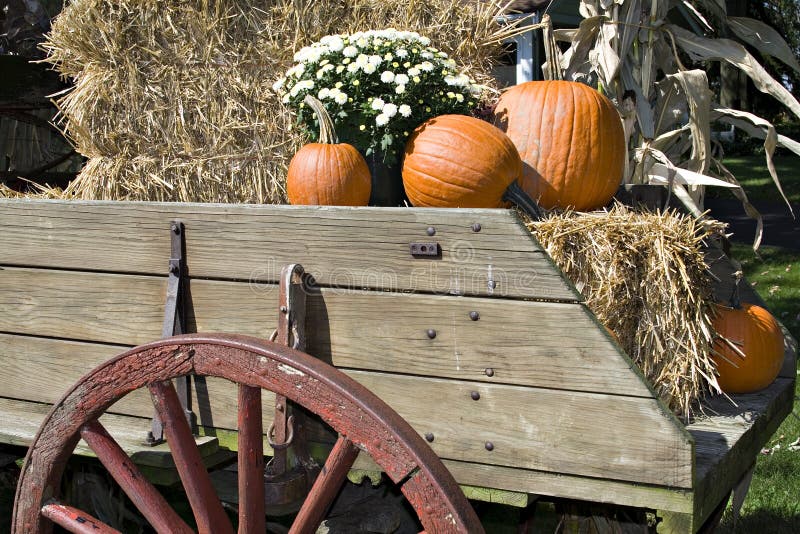 Fall Harvest in Wagon stock photo. Image of season, pumpkins - 1300096