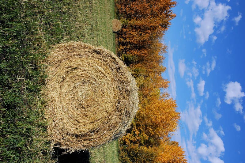 Fall Hay Bale stock photo. Image of agronomic, agriculture - 1309034