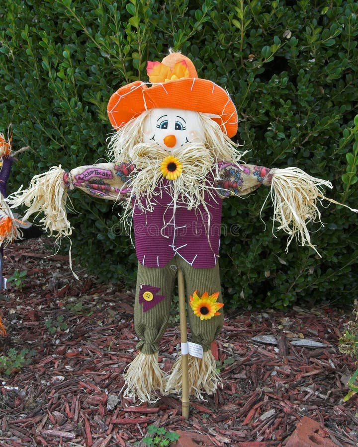 Fall is here stock image. Image of decoration, trees, bale - 264183