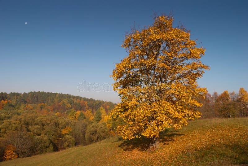 Fall on the hill stock image. Image of countryside, nature - 93501677