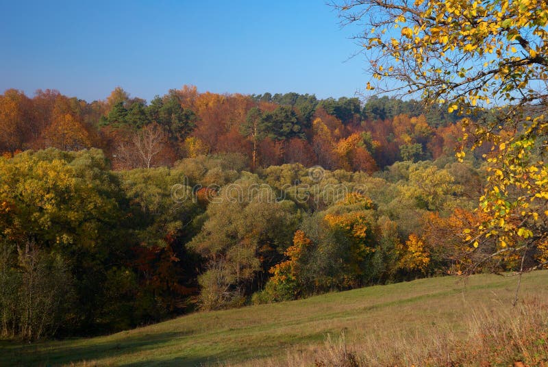 Fall on the hills stock photo. Image of yellow, hill - 13258894