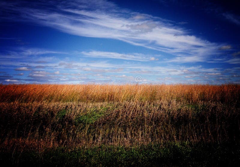 Fall Horizons on the Plains Stock Photo - Image of fall, prairie: 59613366