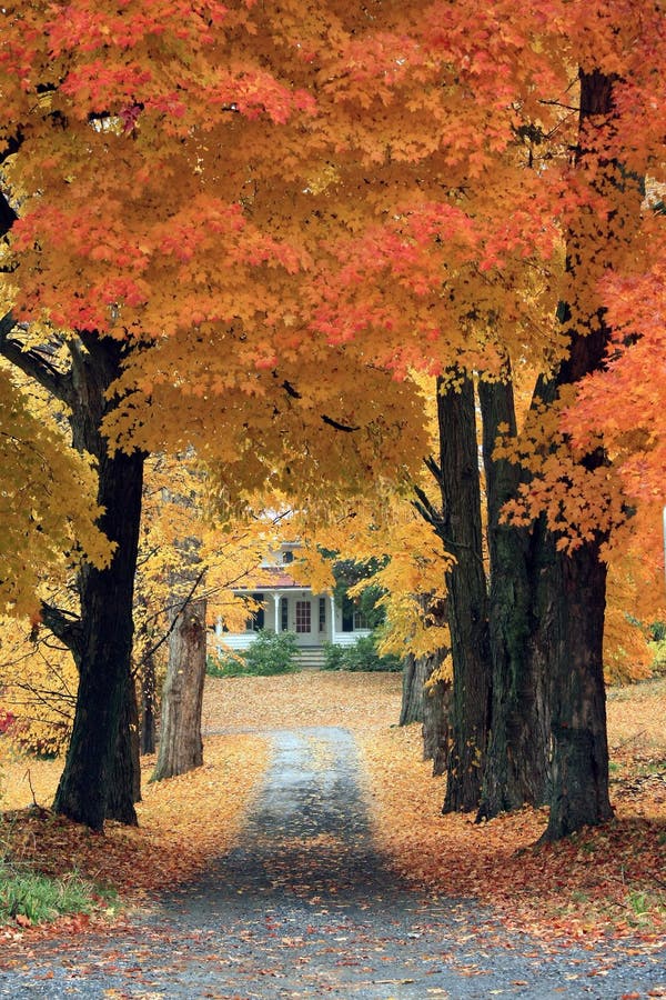 Fall at its best stock photo. Image of farm, colored - 12702766