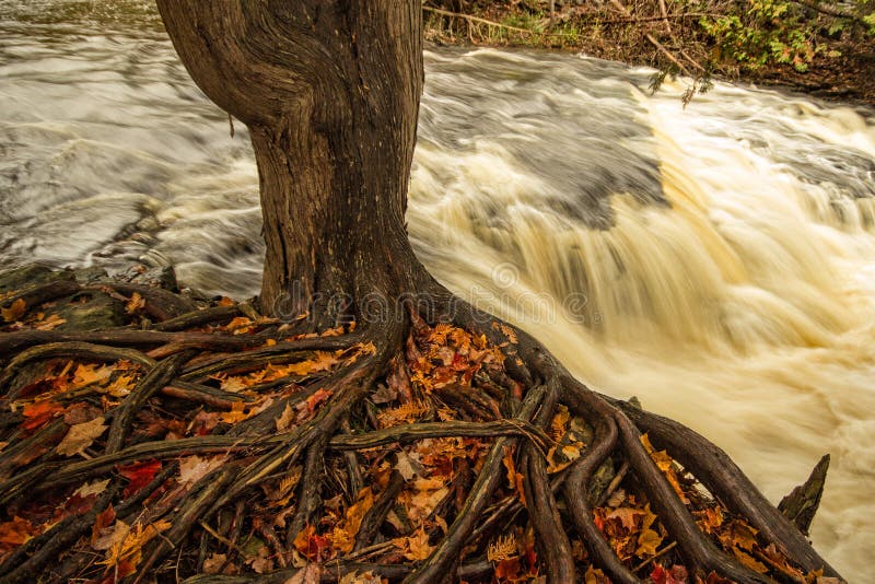 Jones Run Falls, Shenandoah National Park Stock Image - Image of moss ...