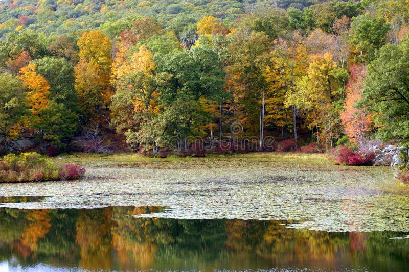 Fall at the Lake stock image. Image of fall, colorful - 11485387