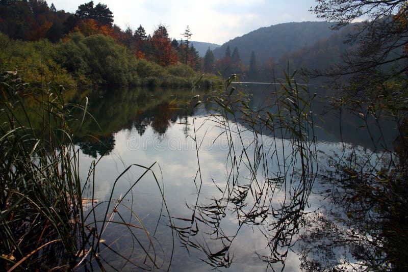 Fall lake stock image. Image of reed, plitvice, autumn - 302343