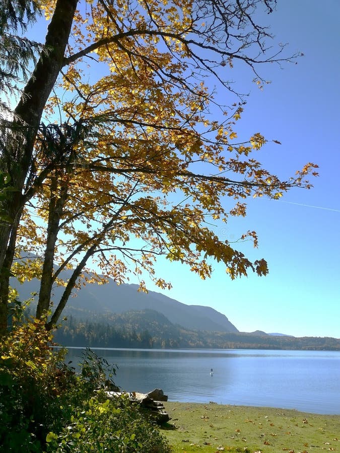 Fall at the Lake stock image. Image of ecology, green - 7872797