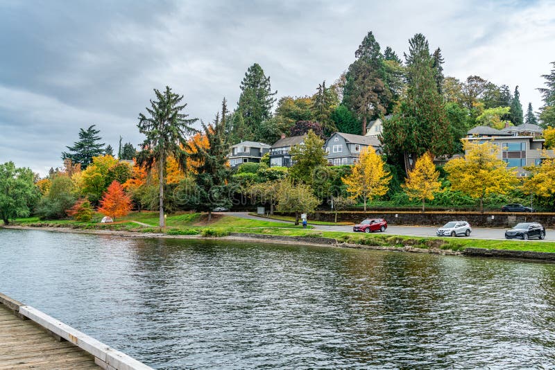 Fall Lake Homes stock image. Image of homes, trees, shoreline - 341161409