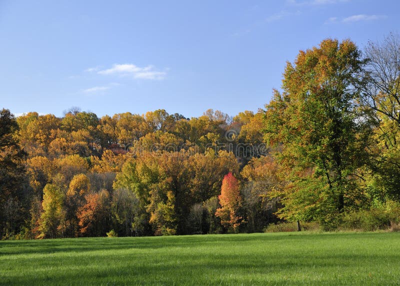 Fall landscape stock image. Image of maple, season, autumn - 11558743