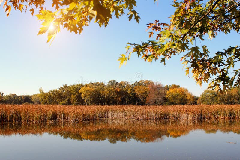 Fall landscape stock image. Image of brown, fresh, foliage - 21629923