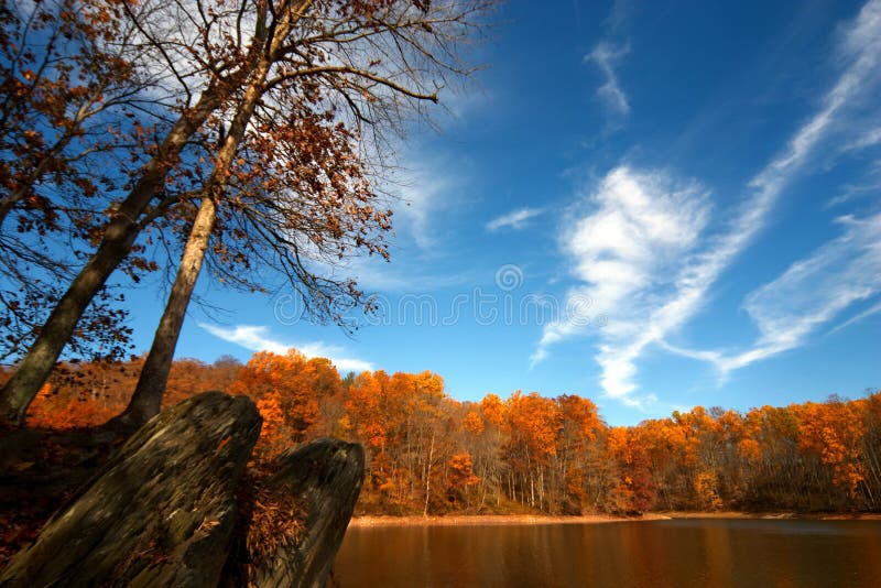 Fall landscape stock photo. Image of nature, colorful, idyll - 239704