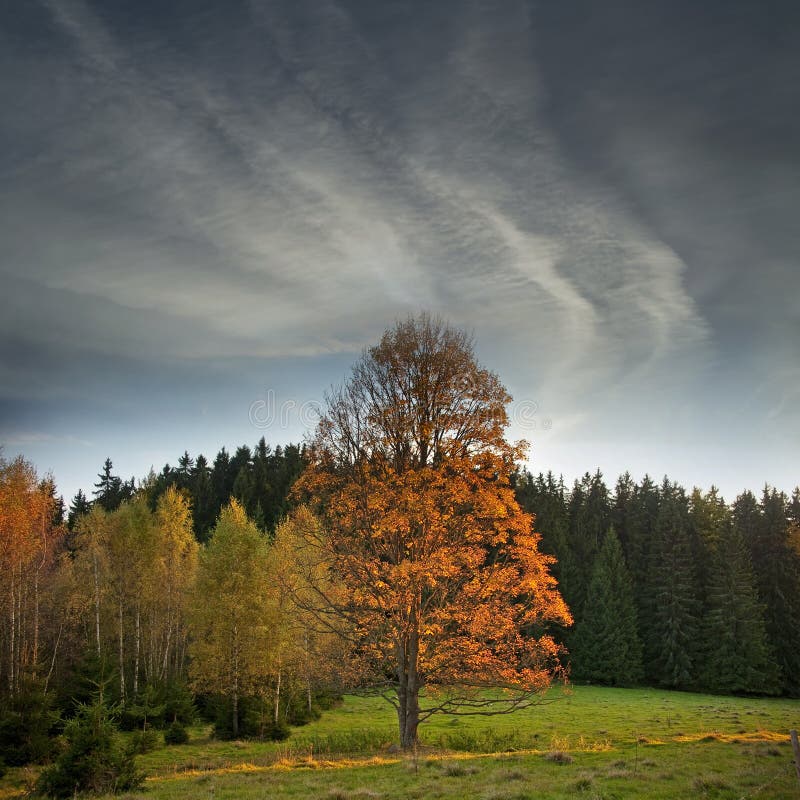 A fall landscape stock image. Image of dramatic, cloud - 27149083