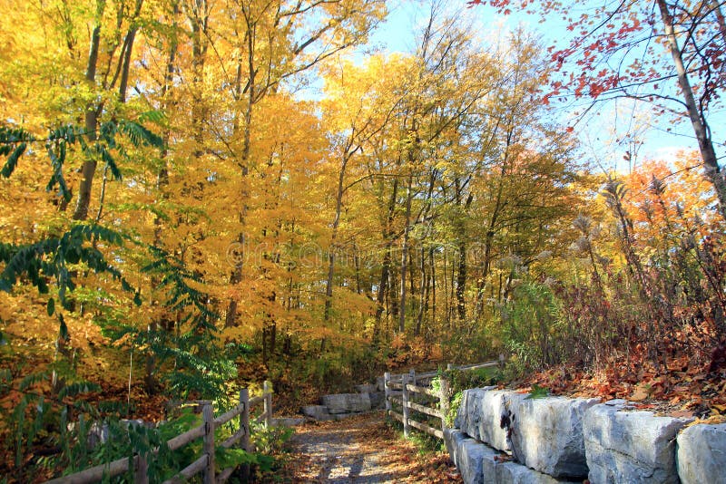Fall Landscape Stock Photo Image Of Stone Autumn Path 295158952