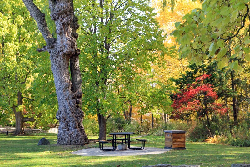 Fall Landscape Stock Image Image Of Landscape Table 295160033