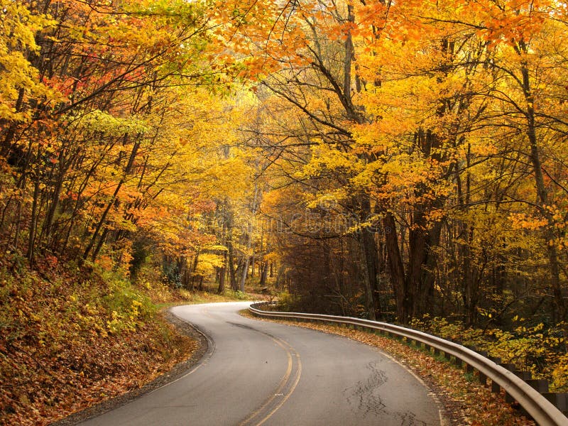 Fall Country Road stock photo. Image of trees, roads, colors - 1439324