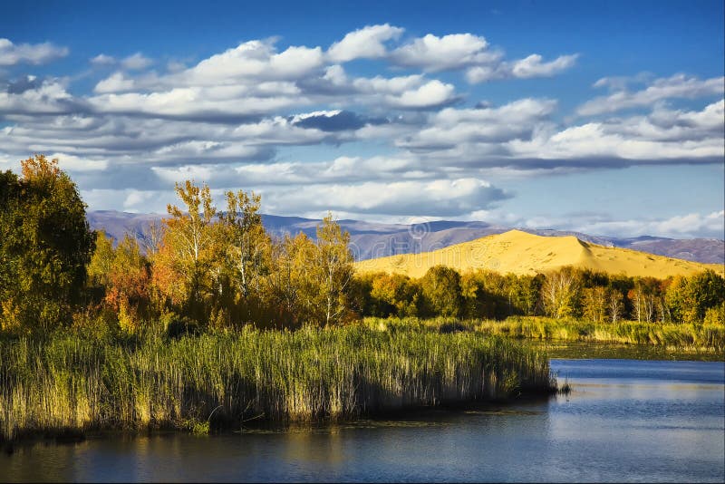 Scenic river stock image. Image of aspen, golden, foliage - 11343569