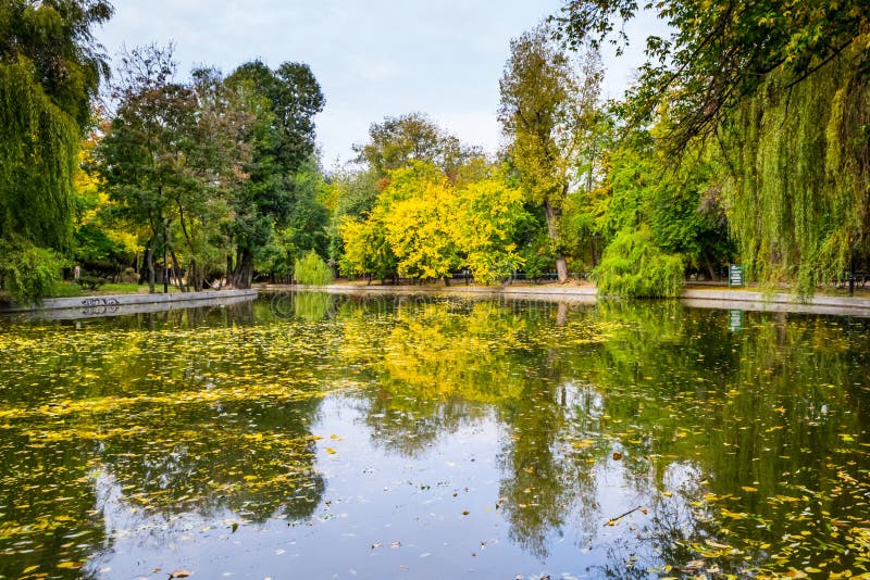 Fall Landscape stock image. Image of lake, countryside - 129441939